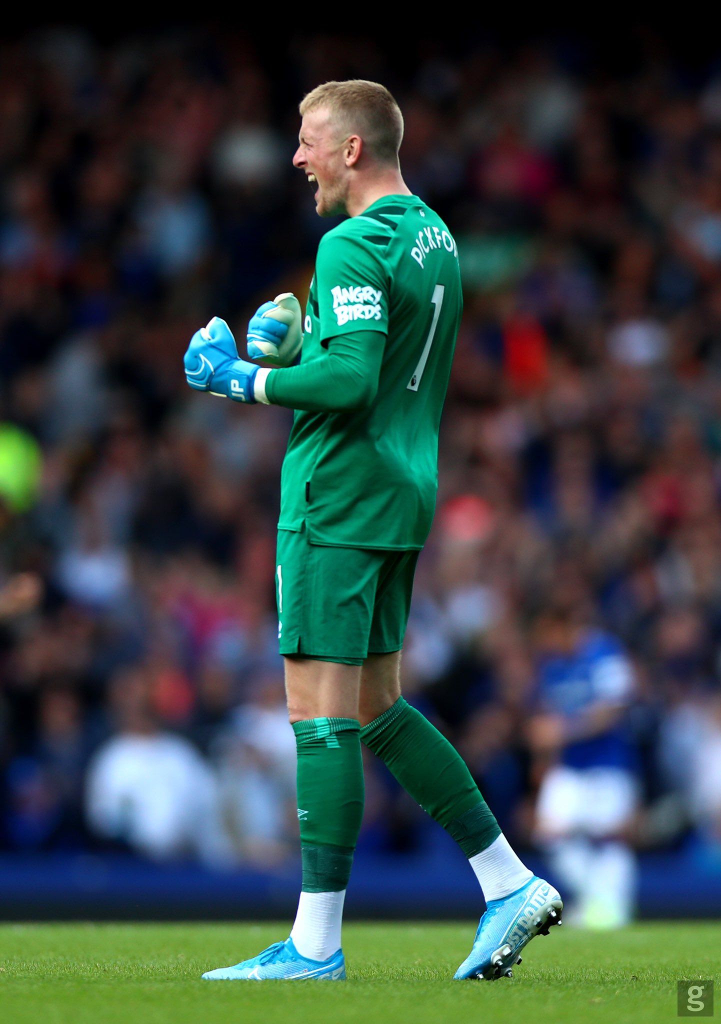 Jordan Pickford Wallpapers - Top Free Jordan Pickford Backgrounds ...