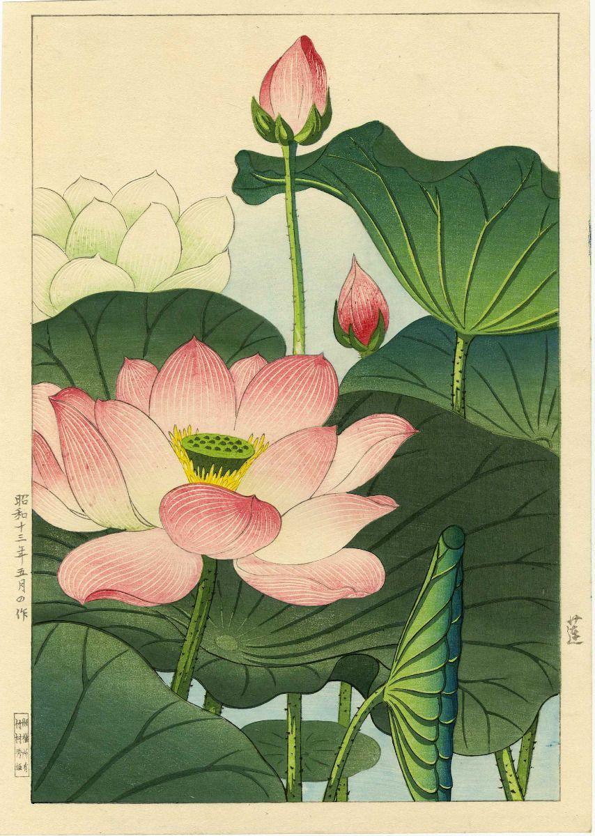 Japanese Lotus Art Wallpapers - Top Free Japanese Lotus Art Backgrounds ...