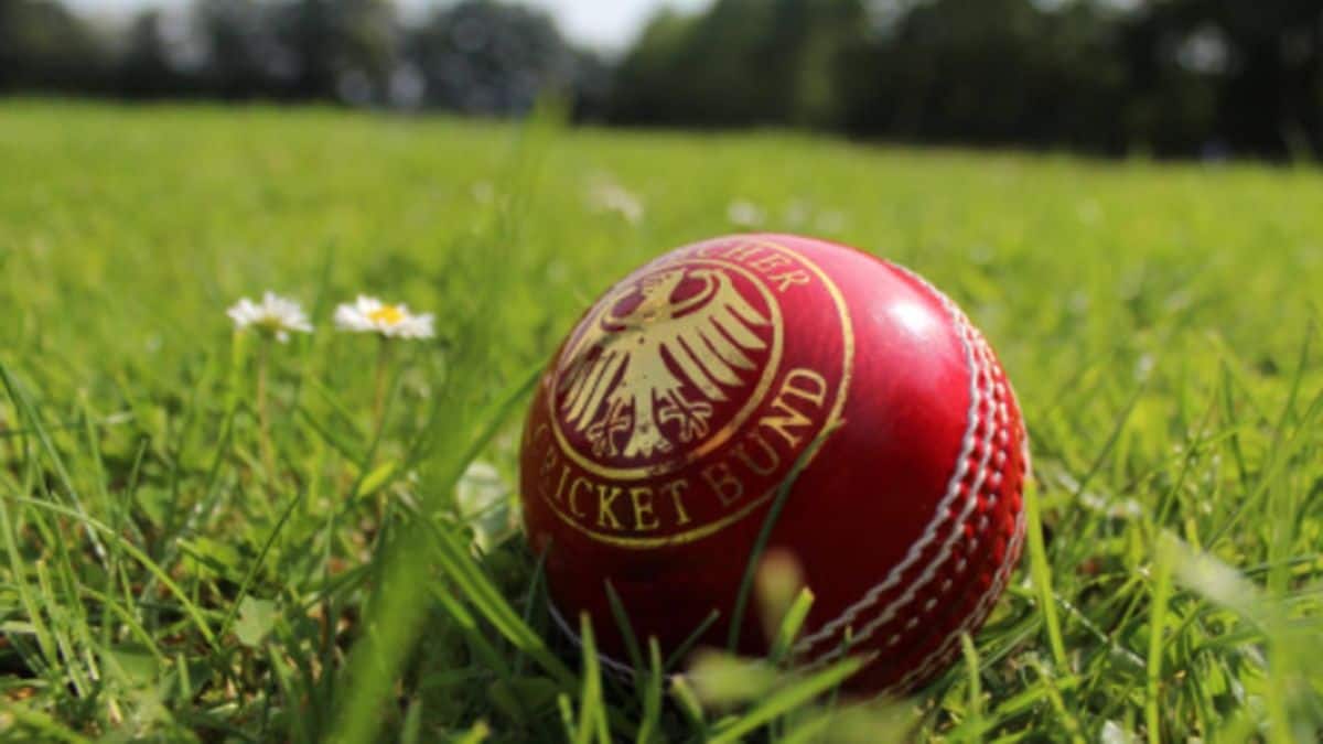 Dream 11 Wallpapers - Top Free Dream 11 Backgrounds - WallpaperAccess