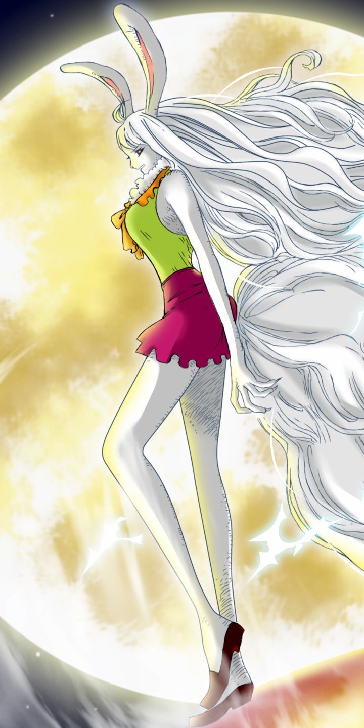 Carrot One Piece Wallpapers - Top Free Carrot One Piece Backgrounds ...