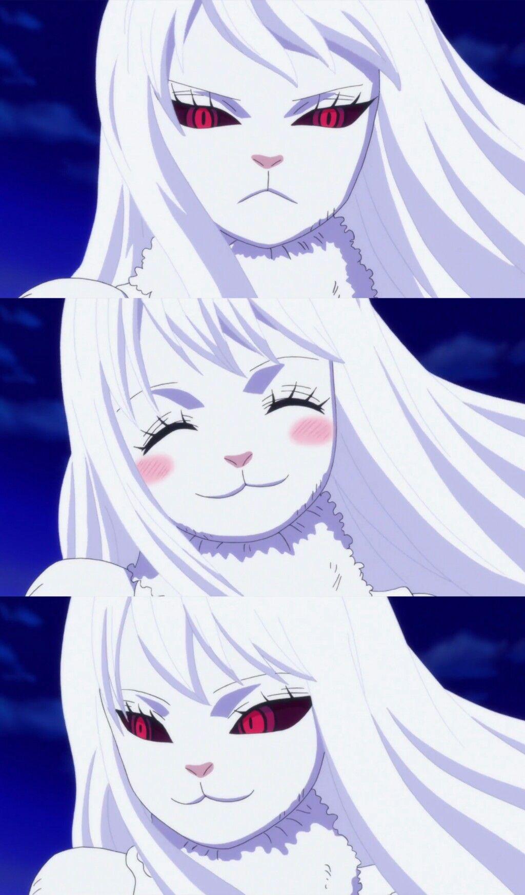 Carrot One Piece Wallpapers - Top Free Carrot One Piece Backgrounds ...