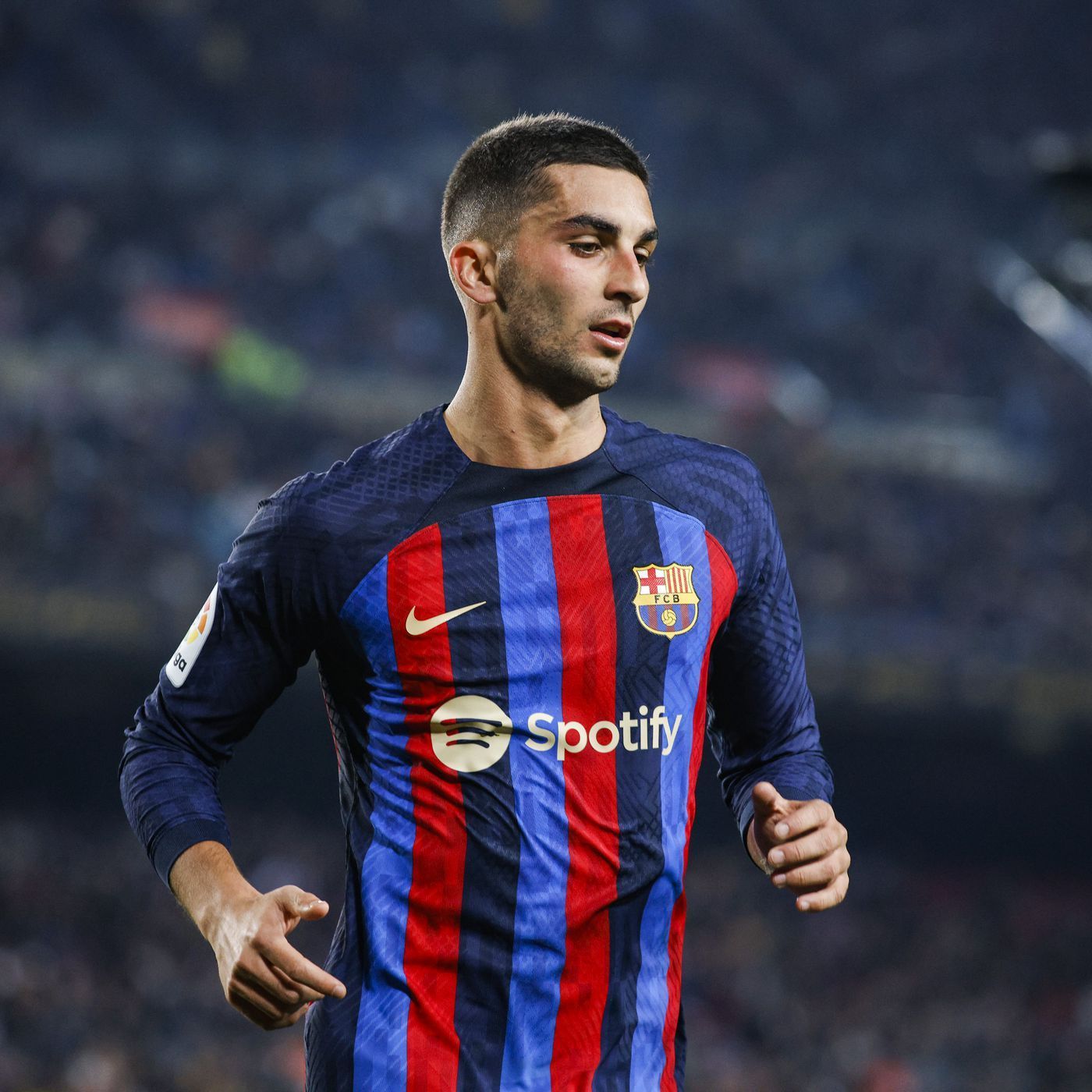 Ferran Torres Wallpapers - Top Free Ferran Torres Backgrounds ...