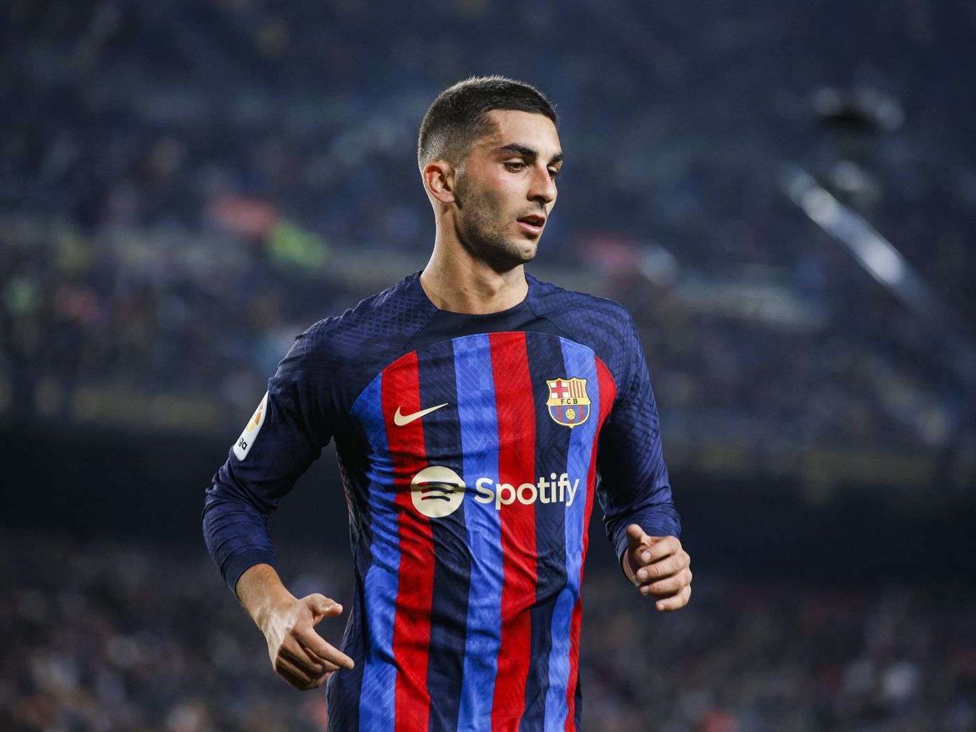 Ferran Torres Wallpapers - Top Free Ferran Torres Backgrounds ...