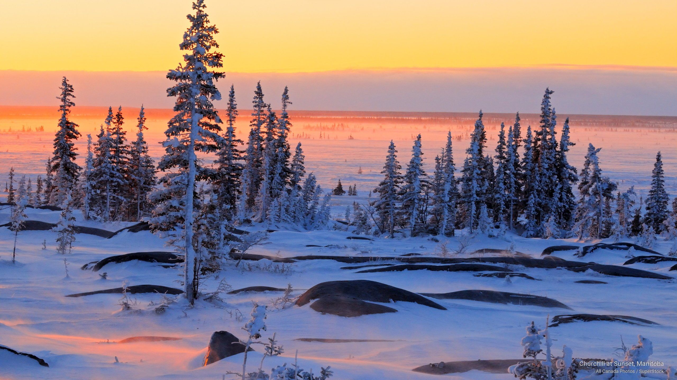 Manitoba Wallpapers - Top Free Manitoba Backgrounds - WallpaperAccess