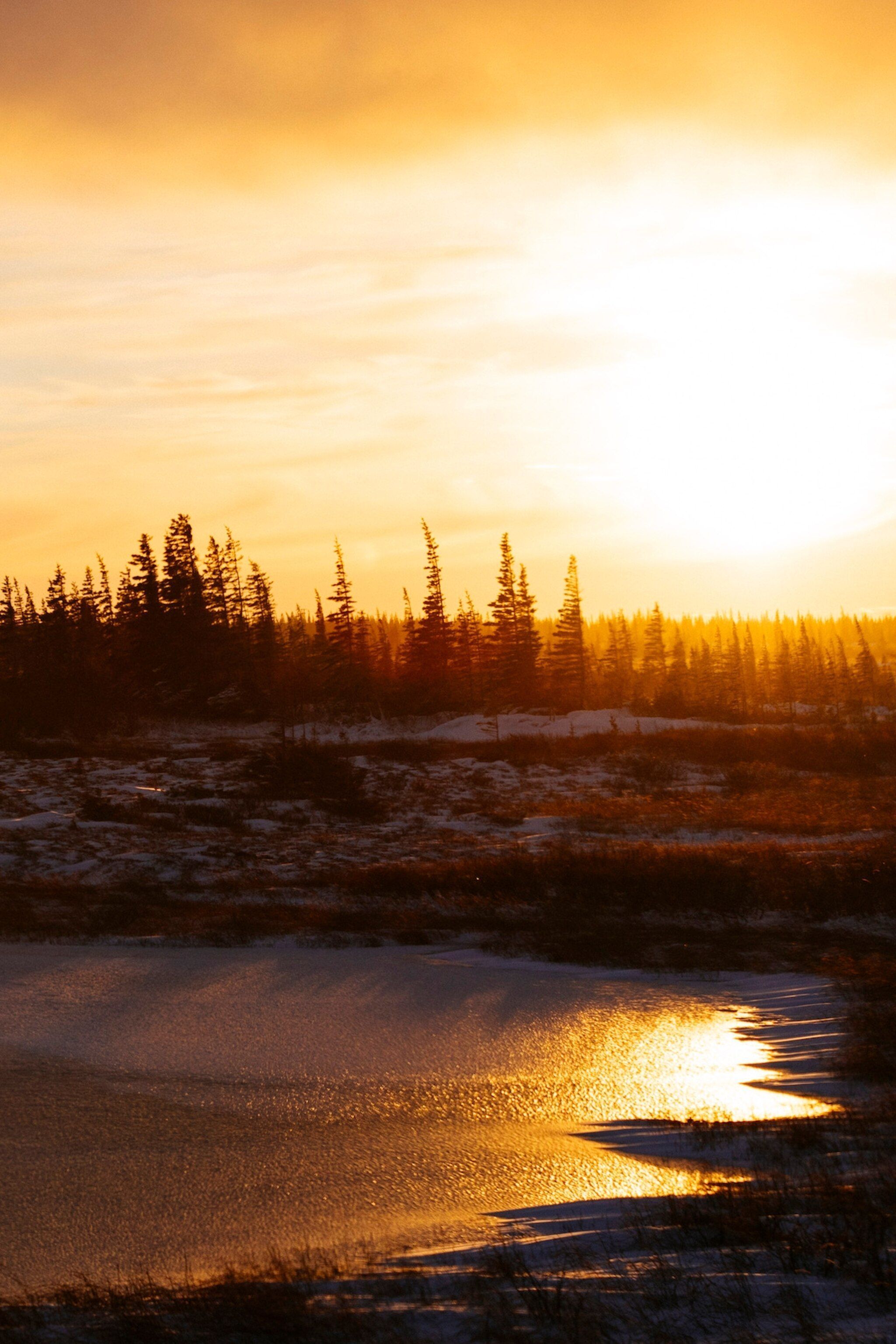 Manitoba Wallpapers - Top Free Manitoba Backgrounds - WallpaperAccess