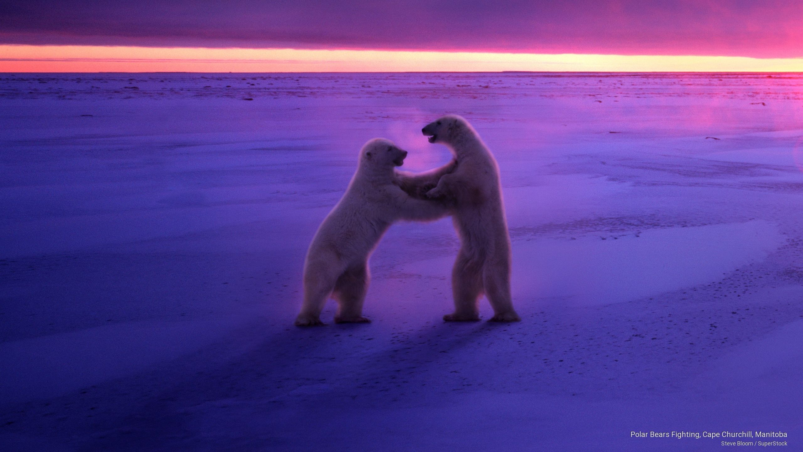 Manitoba Wallpapers - Top Free Manitoba Backgrounds - WallpaperAccess