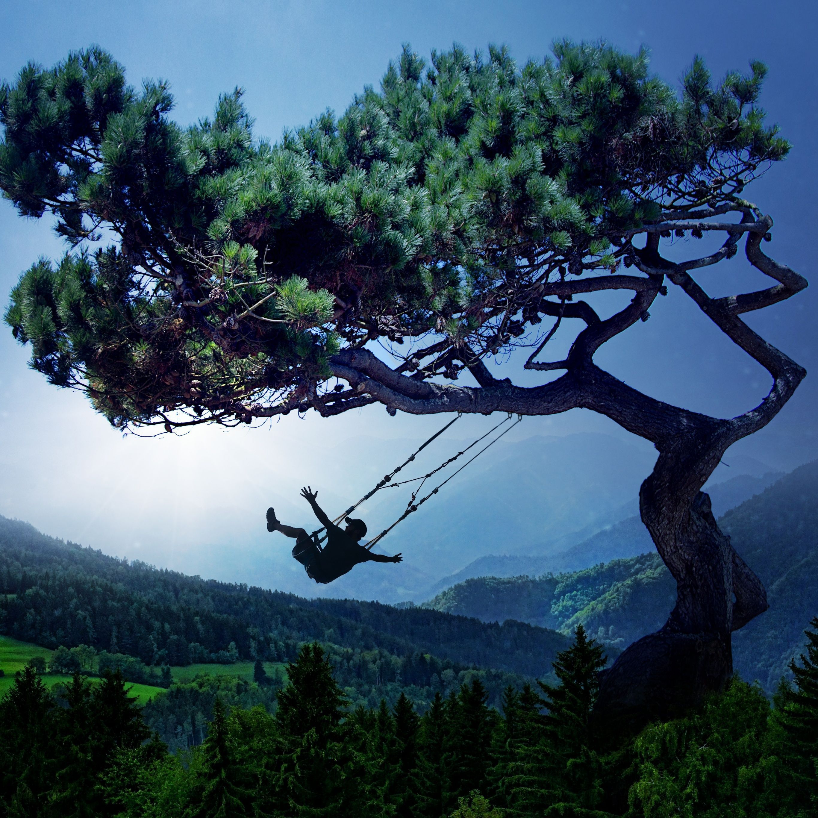 The Swing Wallpapers - Top Free The Swing Backgrounds - WallpaperAccess