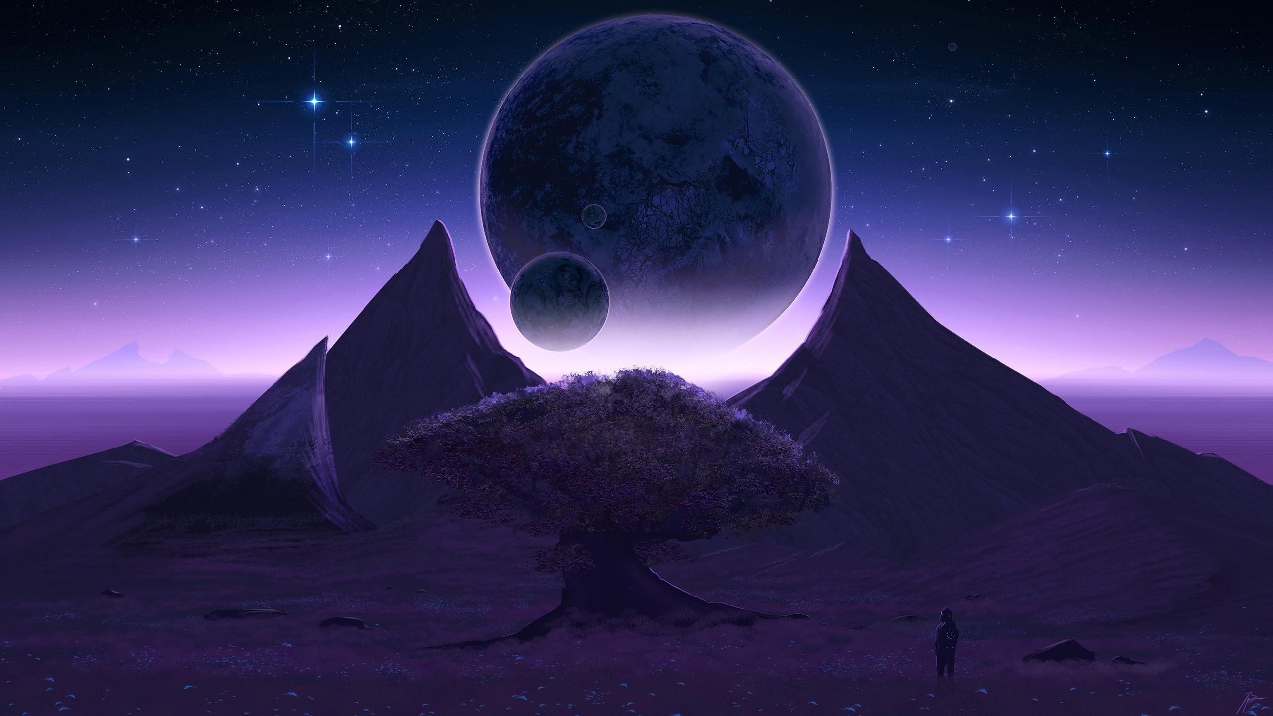 2560X1440 Purple Wallpapers - Top Free 2560X1440 Purple Backgrounds ...