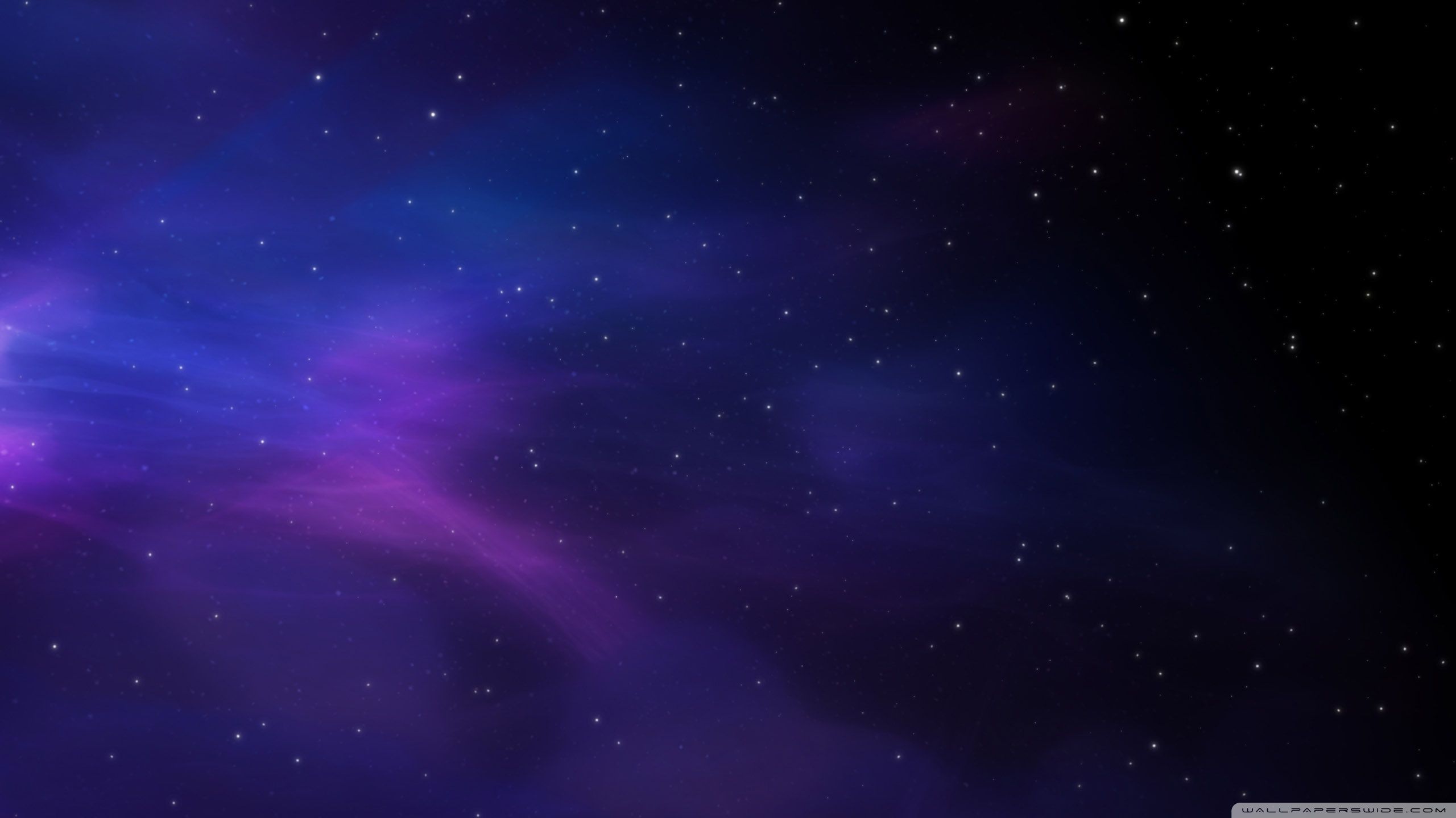 2560X1440 Purple Wallpapers - Top Free 2560X1440 Purple Backgrounds ...