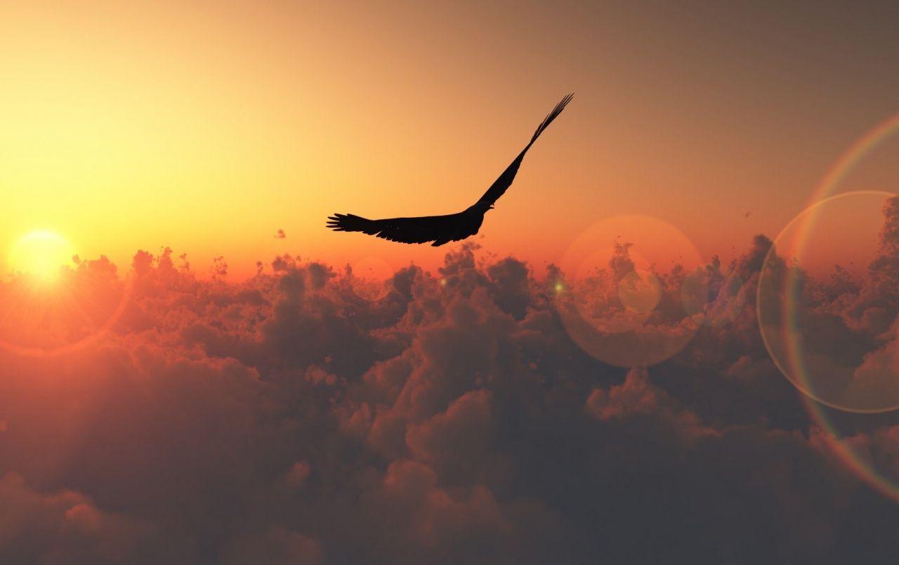 Fly High Wallpapers - Top Free Fly High Backgrounds - WallpaperAccess