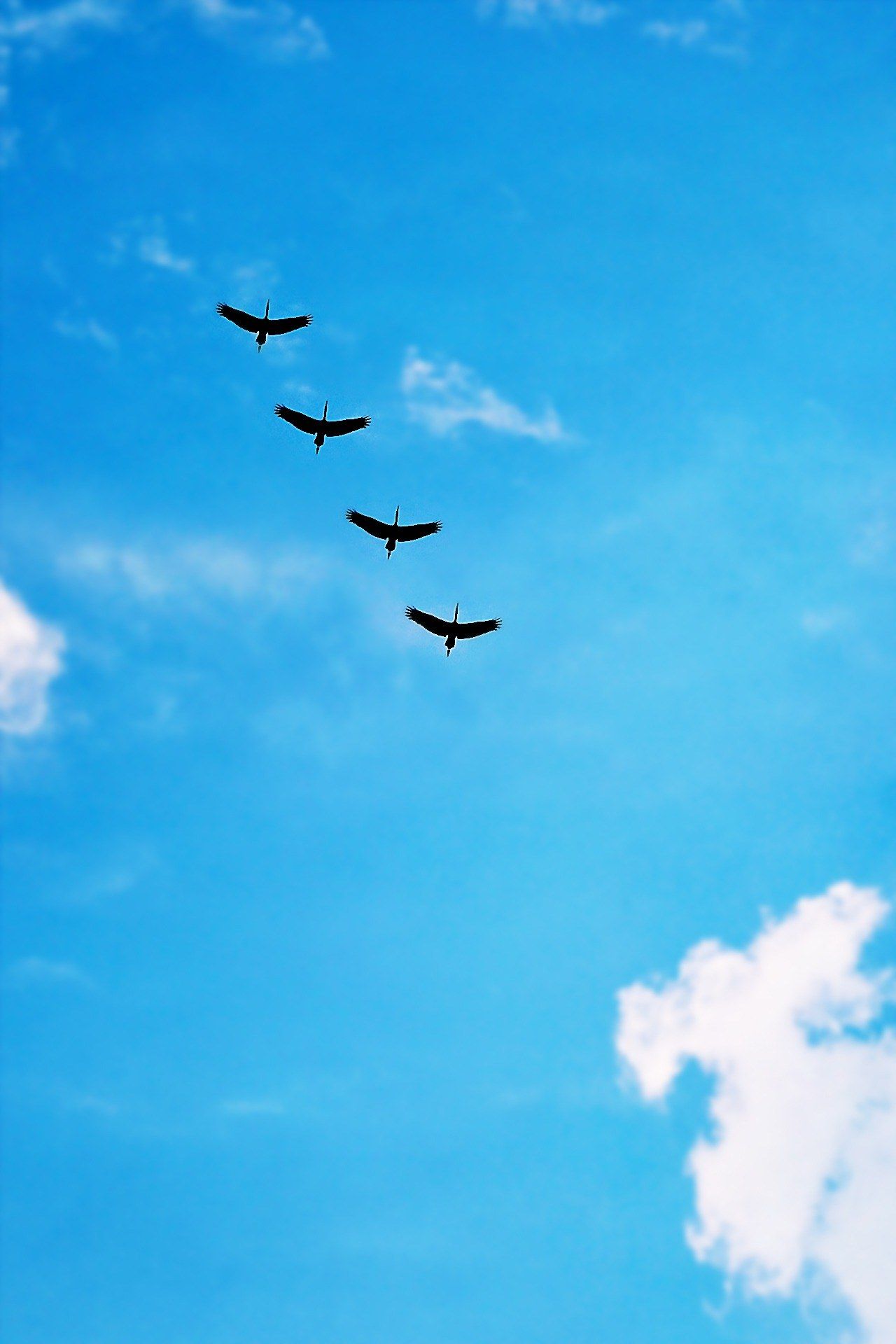 Fly High Wallpapers - Top Free Fly High Backgrounds - WallpaperAccess