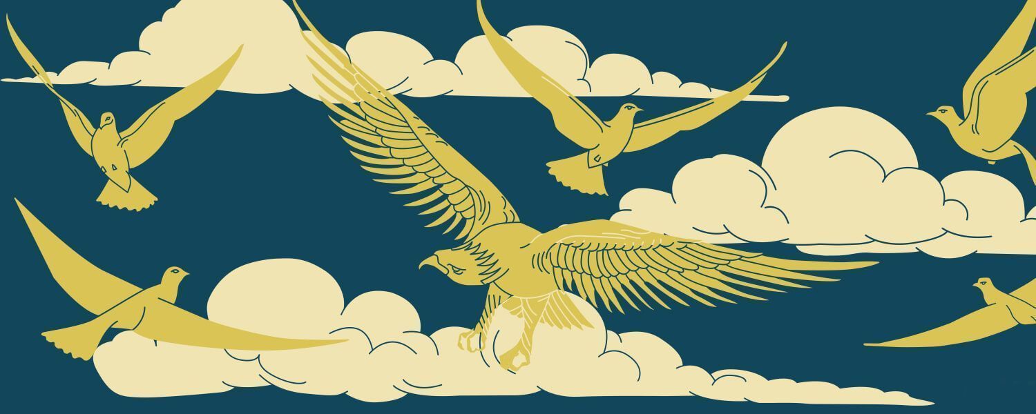 Fly High Wallpapers - Top Free Fly High Backgrounds - WallpaperAccess