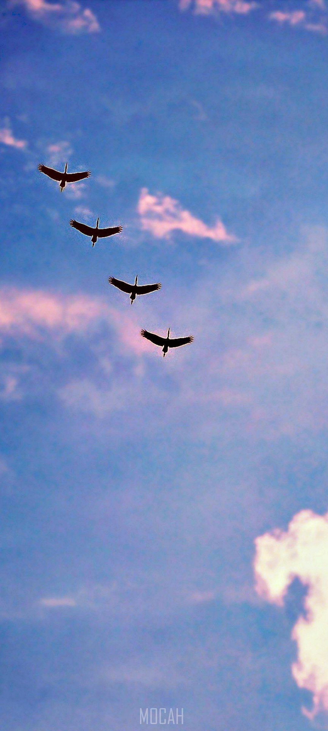 Fly High Wallpapers - Top Free Fly High Backgrounds - WallpaperAccess