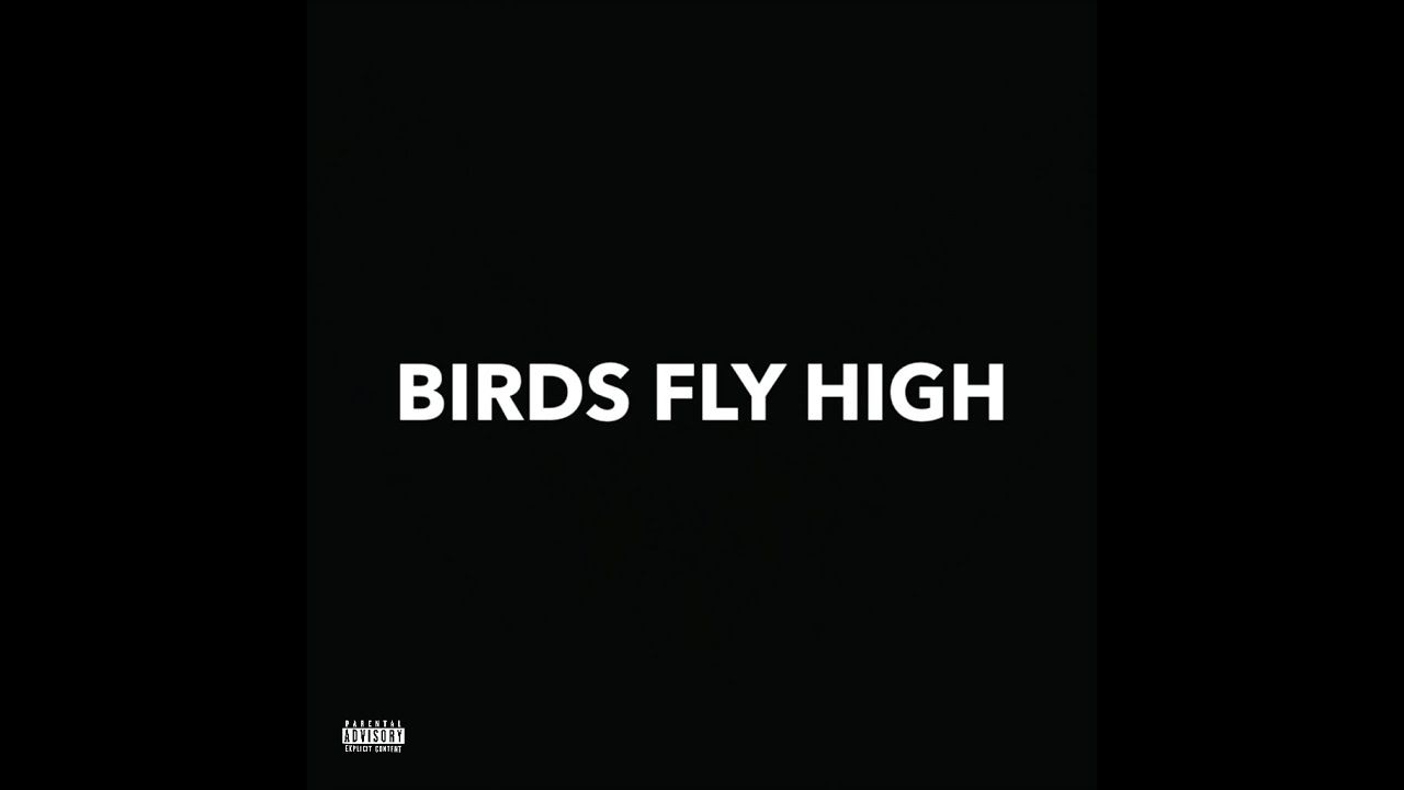 Fly High Wallpapers - Top Free Fly High Backgrounds - WallpaperAccess