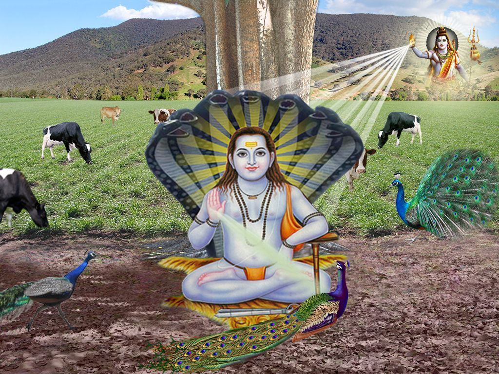 Baba Balak Nath Wallpapers - Top Free Baba Balak Nath Backgrounds ...