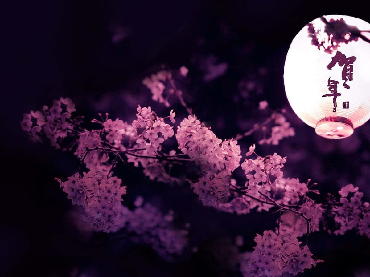 Black Sakura Wallpapers - Top Free Black Sakura Backgrounds - WallpaperAccess