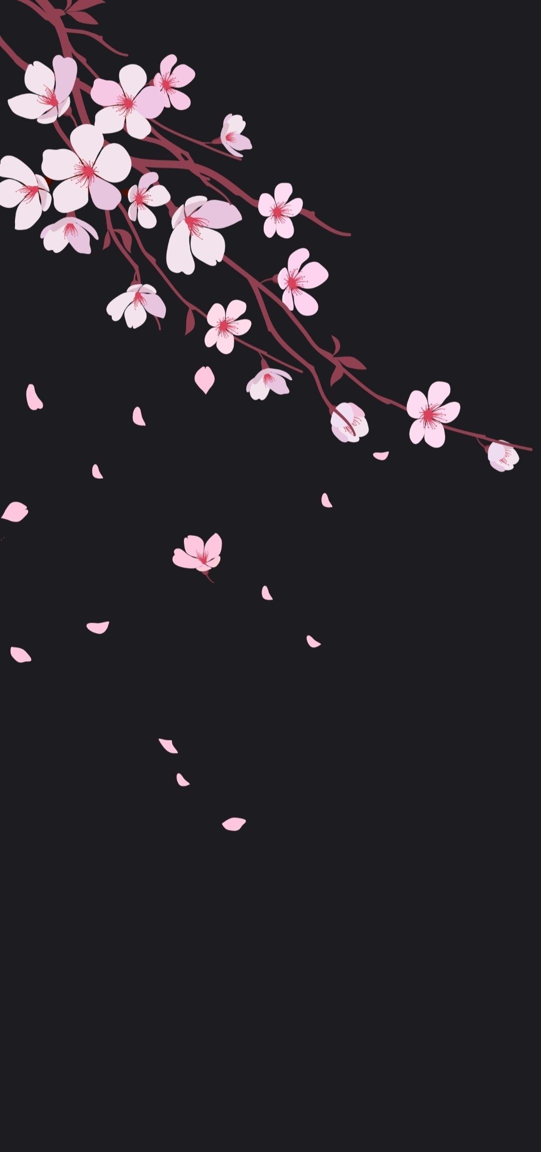 Black Sakura Wallpapers - Top Free Black Sakura Backgrounds - WallpaperAccess