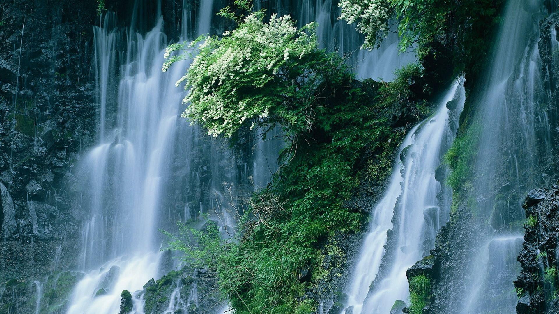 Japanese Waterfall Wallpapers - Top Free Japanese Waterfall Backgrounds ...