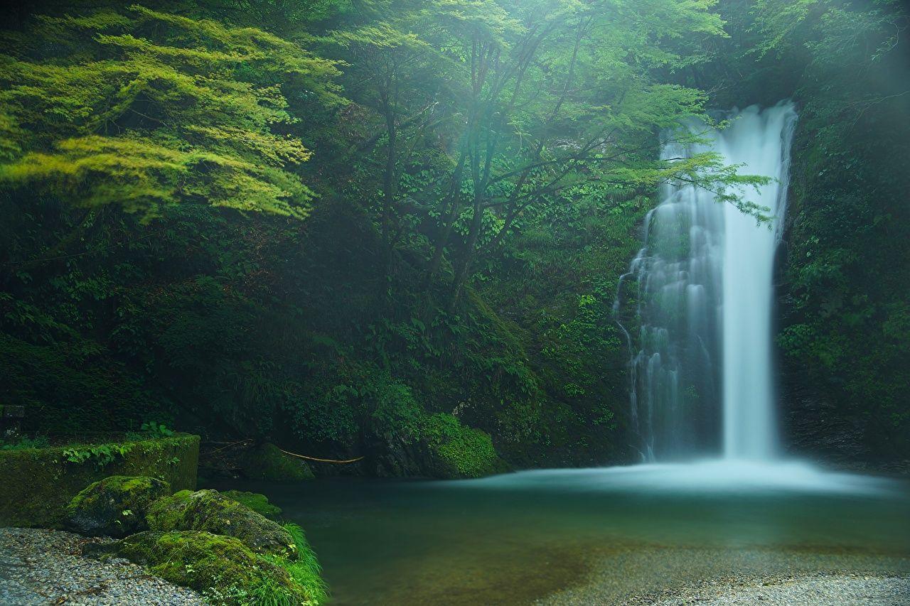 Japanese Waterfall Wallpapers - Top Free Japanese Waterfall Backgrounds ...