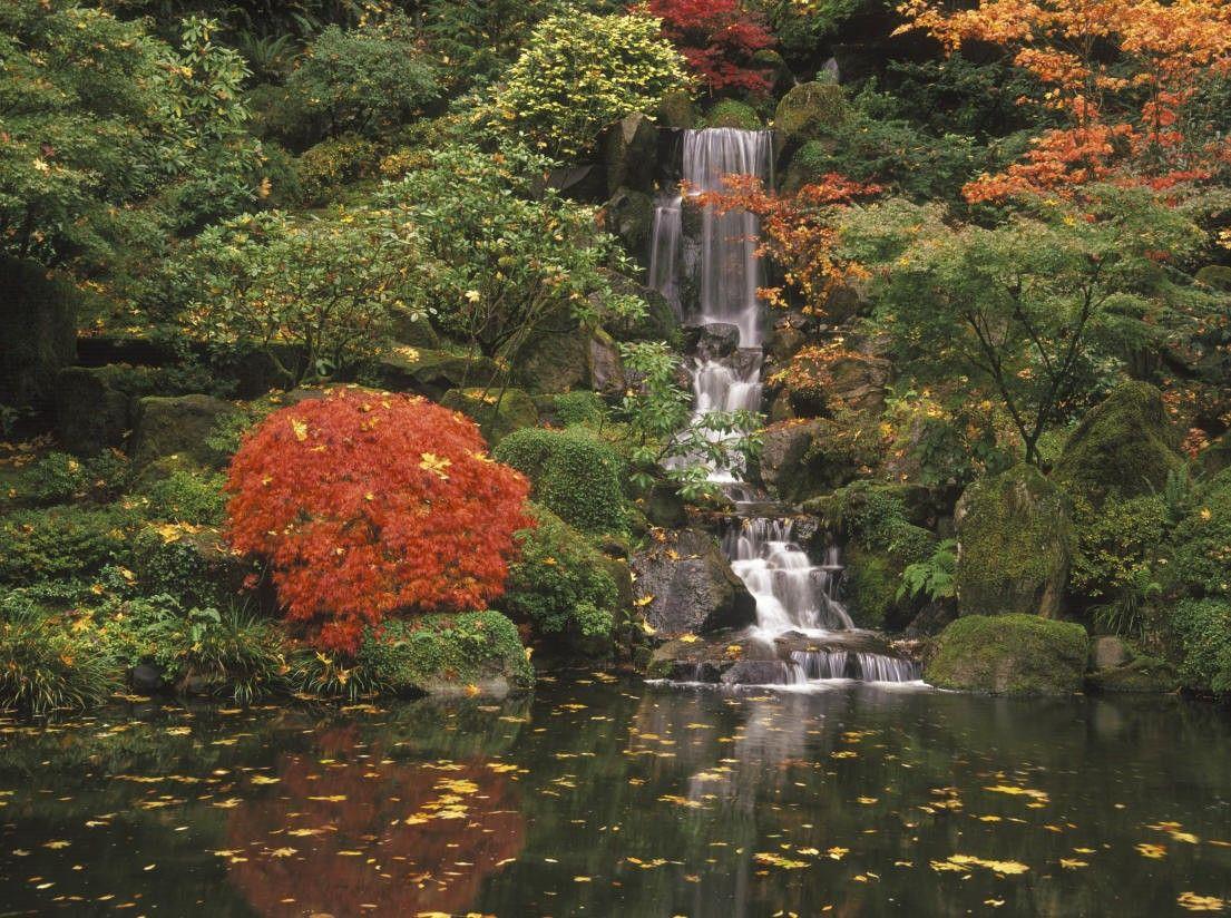 Japanese Waterfall Wallpapers - Top Free Japanese Waterfall Backgrounds ...