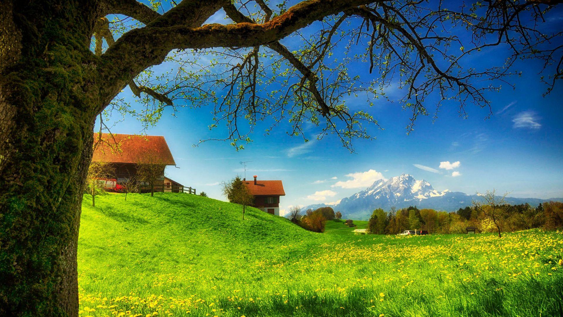 Simple House Wallpapers - Top Free Simple House Backgrounds ...