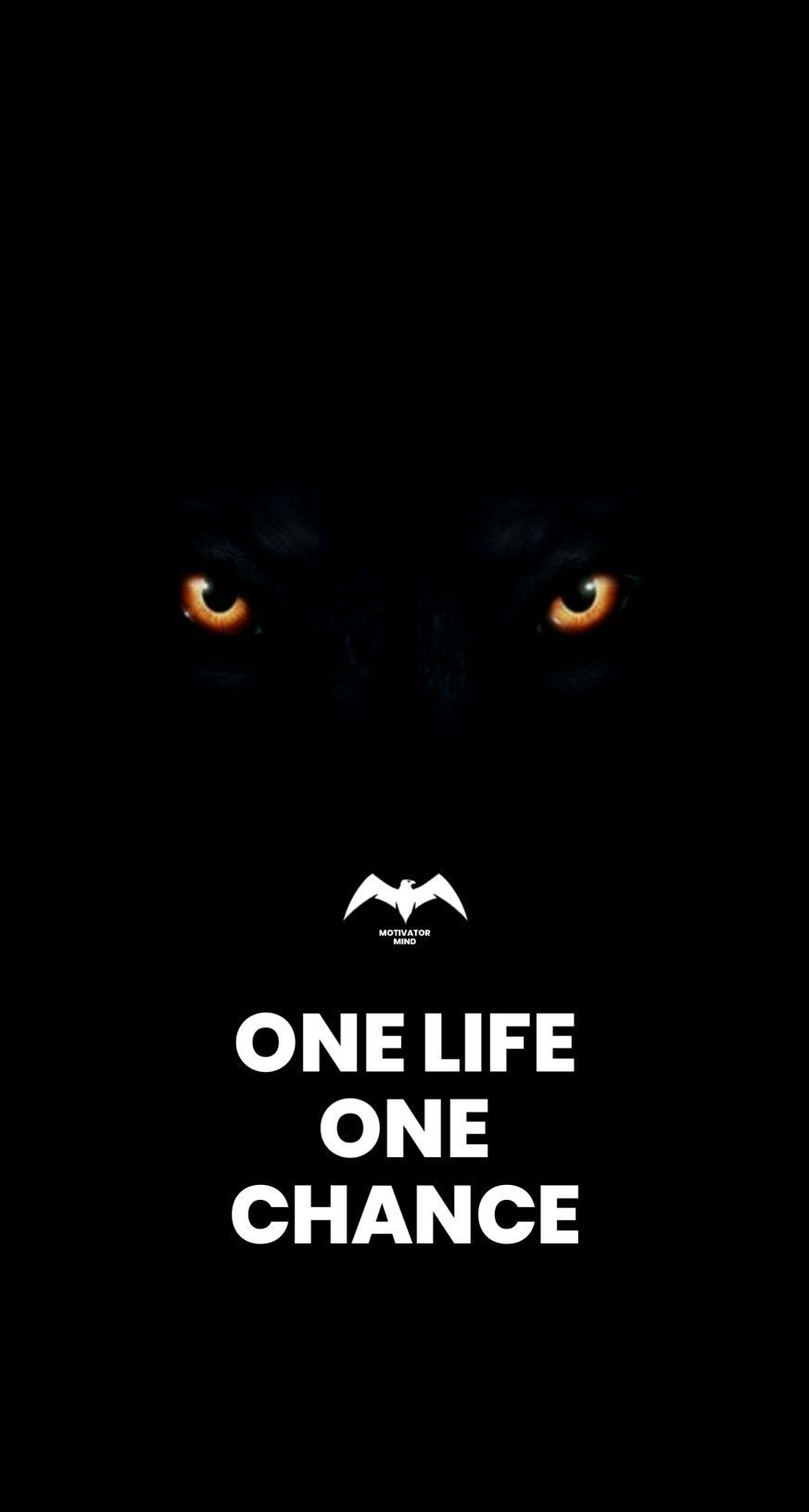 One Life Wallpapers - Top Free One Life Backgrounds - WallpaperAccess