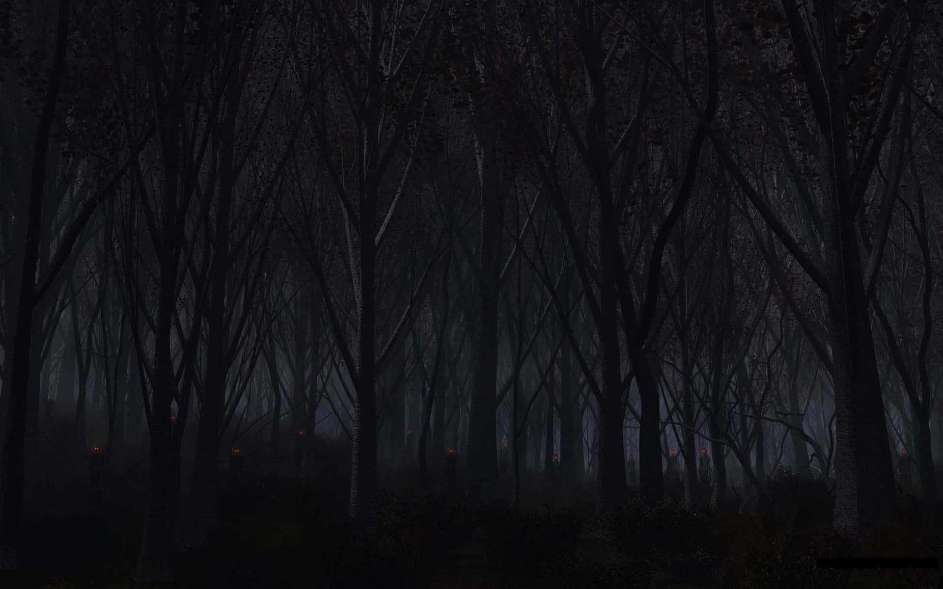 Scary Woods Wallpapers - Top Free Scary Woods Backgrounds - WallpaperAccess