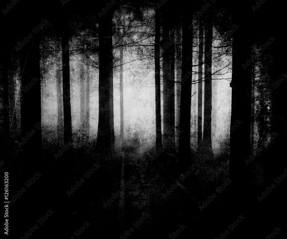 Scary Woods Wallpapers - Top Free Scary Woods Backgrounds - WallpaperAccess