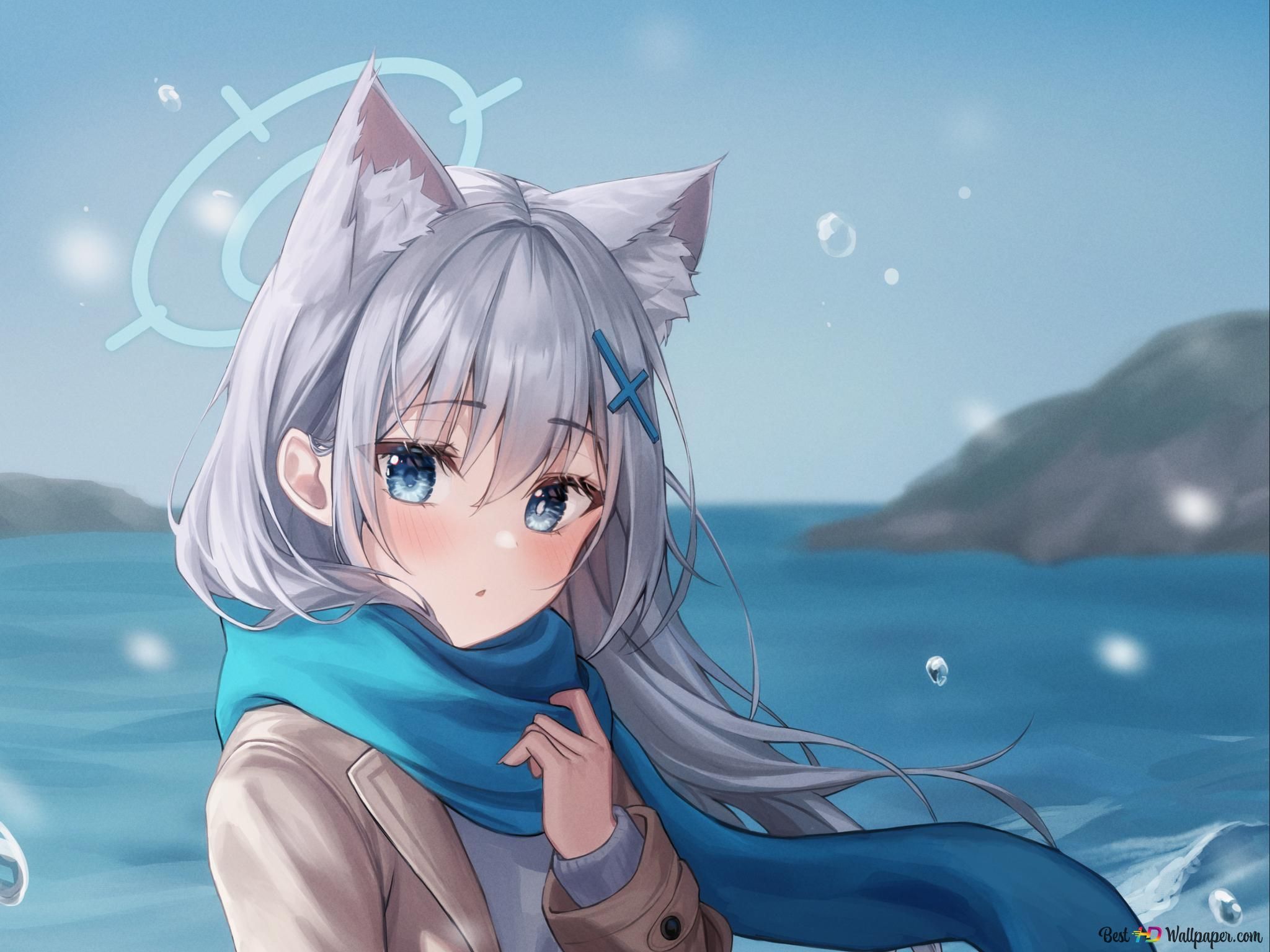 Shiroko Wallpapers - Top Free Shiroko Backgrounds - WallpaperAccess