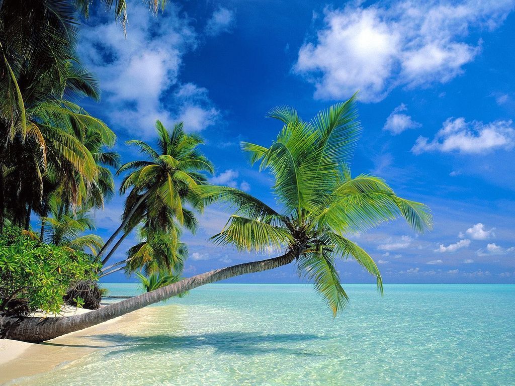 Big Size Wallpapers - Top Free Big Size Backgrounds - WallpaperAccess