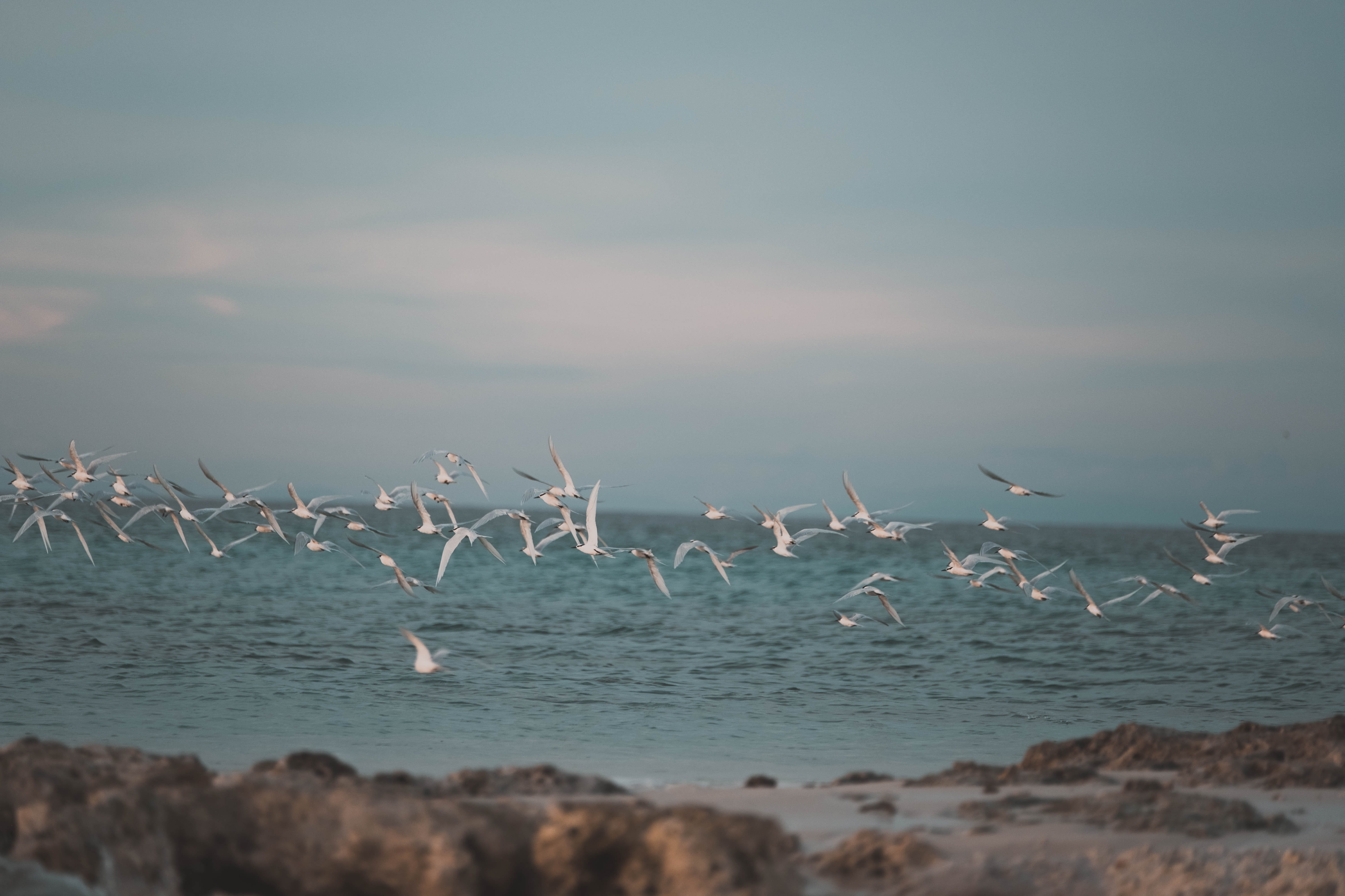 Sumatera Wallpapers - Top Free Sumatera Backgrounds - WallpaperAccess