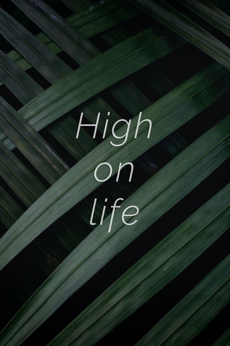 High off Life Wallpapers - Top Free High off Life Backgrounds ...