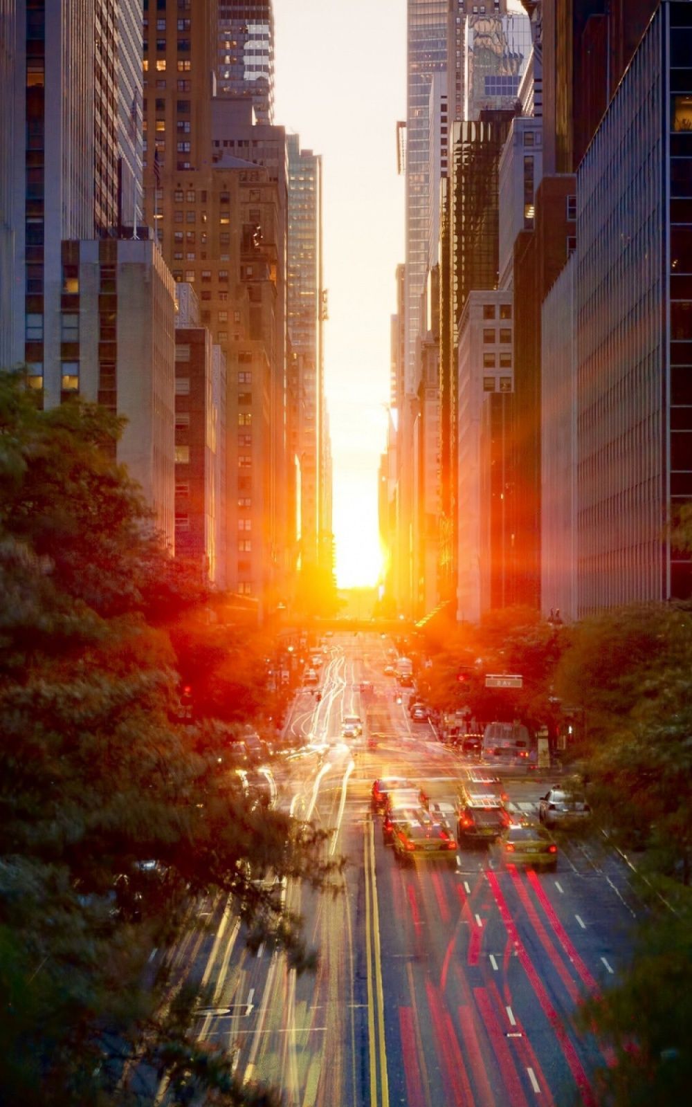 Sunny City Wallpapers - Top Free Sunny City Backgrounds - WallpaperAccess