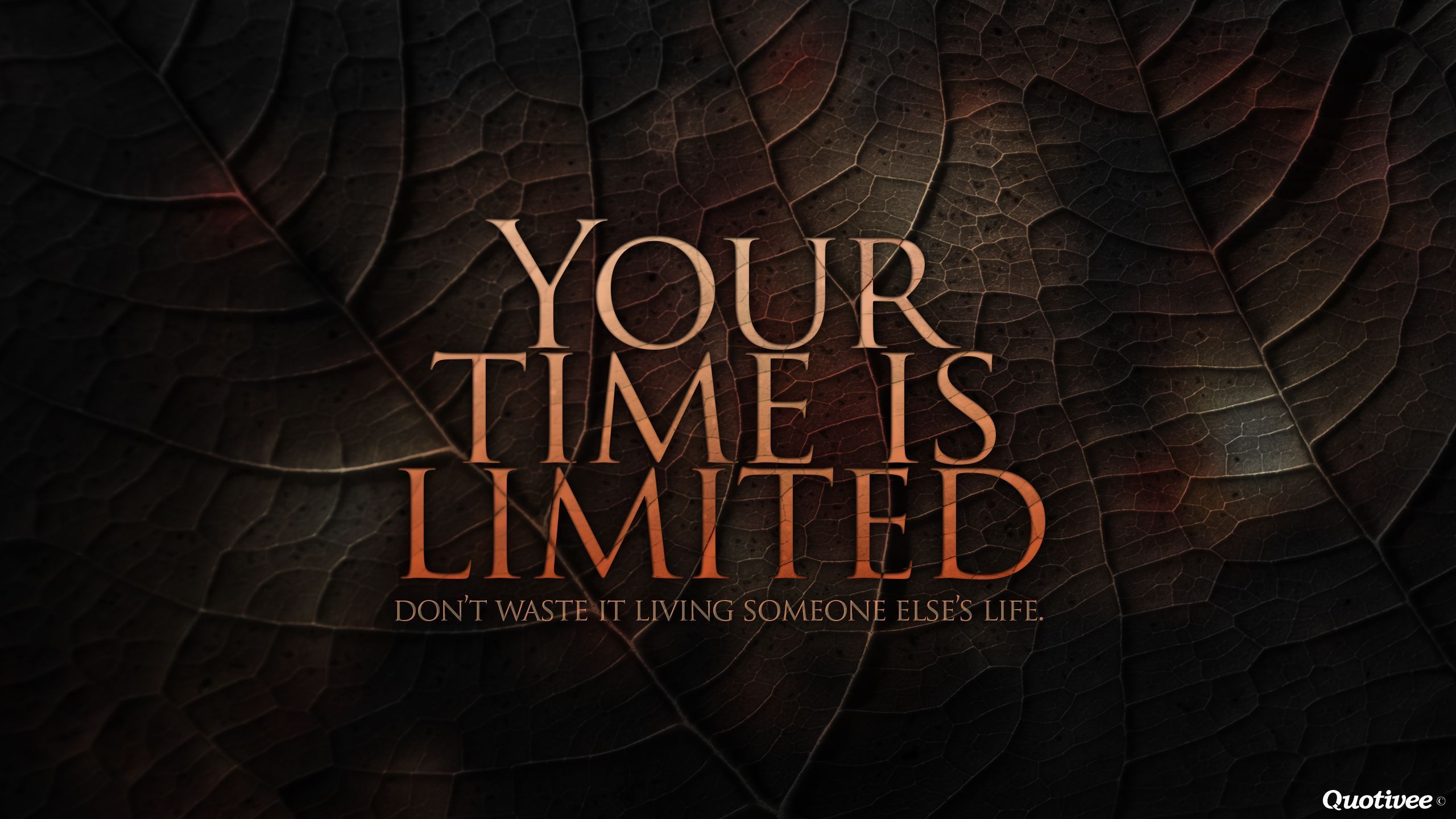 Don't Waste Your Time Wallpapers - Top Free Don't Waste Your Time ...