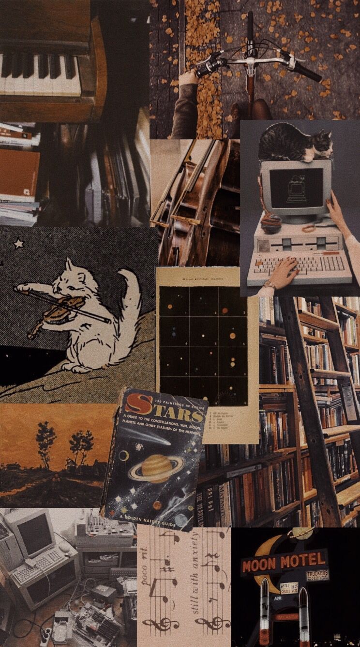 INTP Wallpapers - Top Free INTP Backgrounds - WallpaperAccess