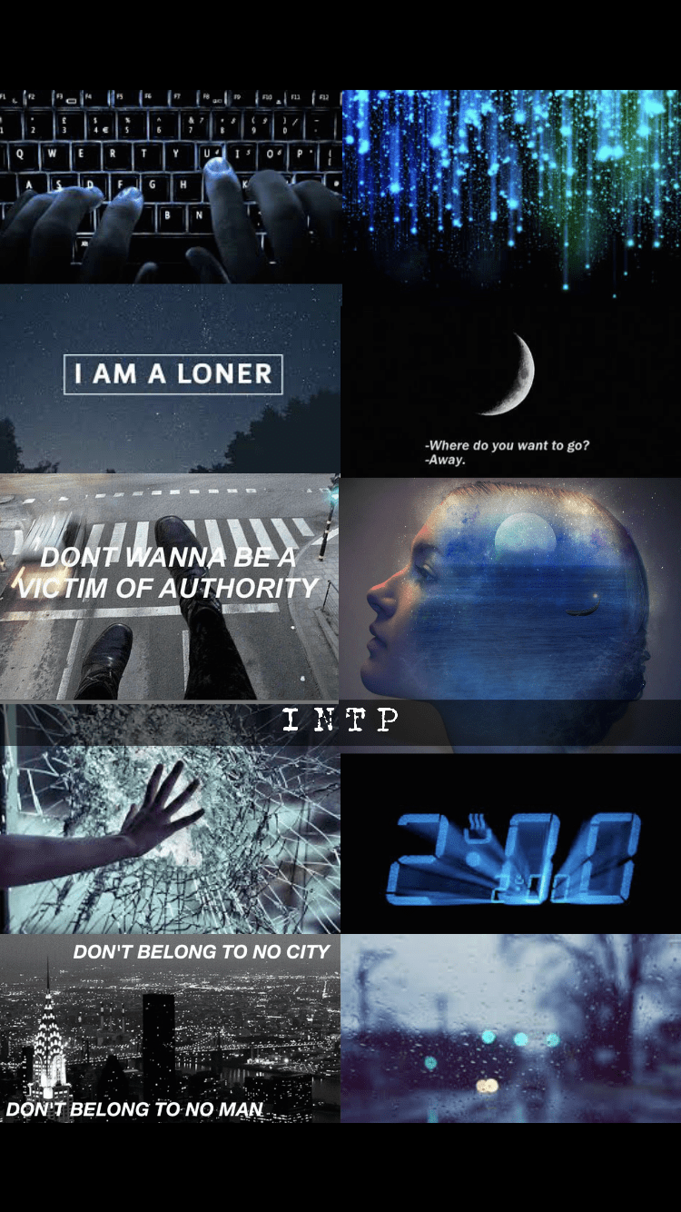 INTP Wallpapers - Top Free INTP Backgrounds - WallpaperAccess