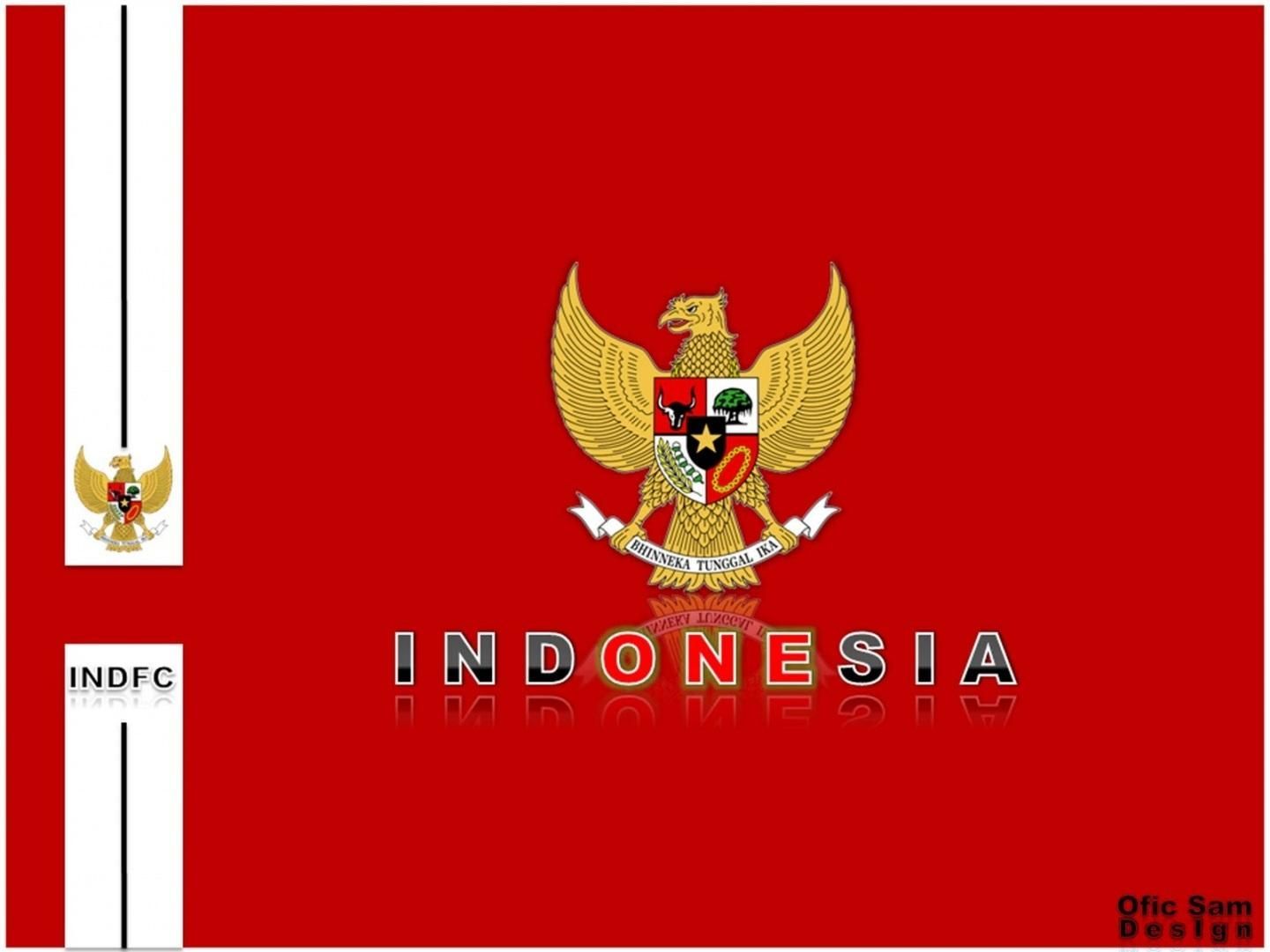 Timnas Indonesia Wallpapers - Top Free Timnas Indonesia Backgrounds ...