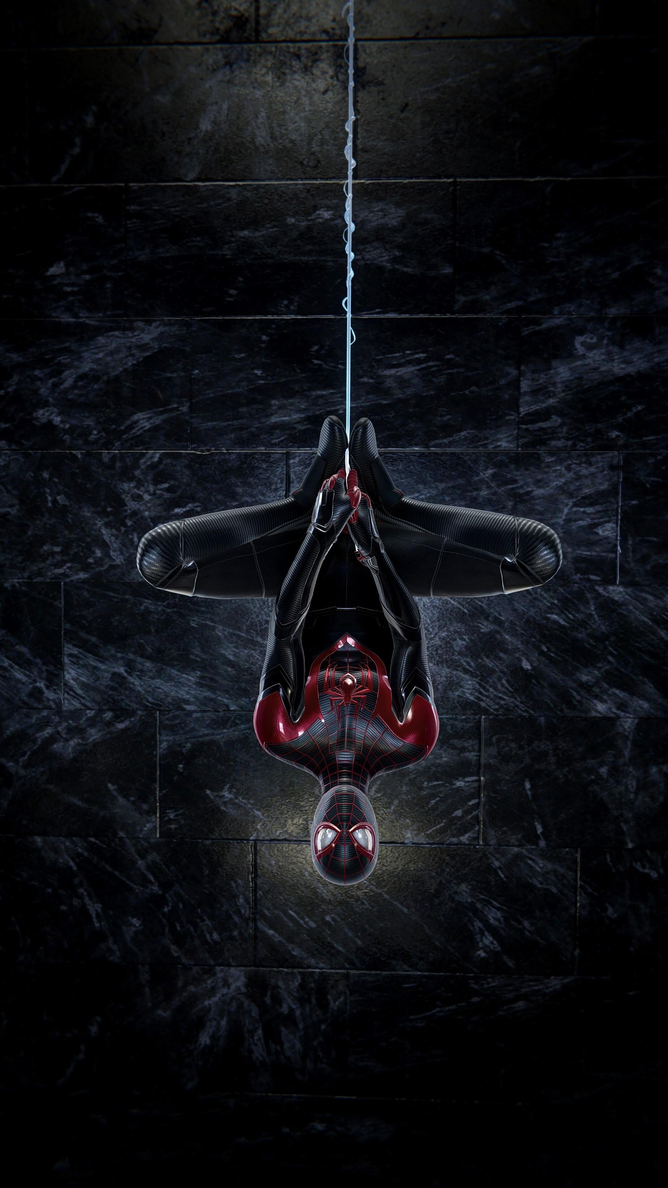 Spider Man Hanging Wallpapers - Top Free Spider Man Hanging Backgrounds ...