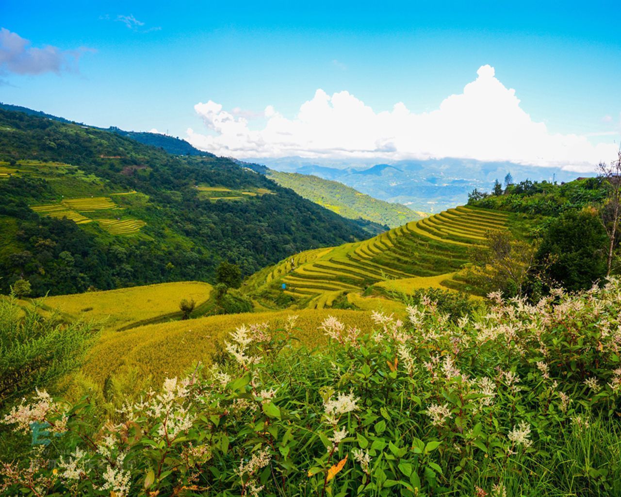 Manipur Wallpapers - Top Free Manipur Backgrounds - WallpaperAccess