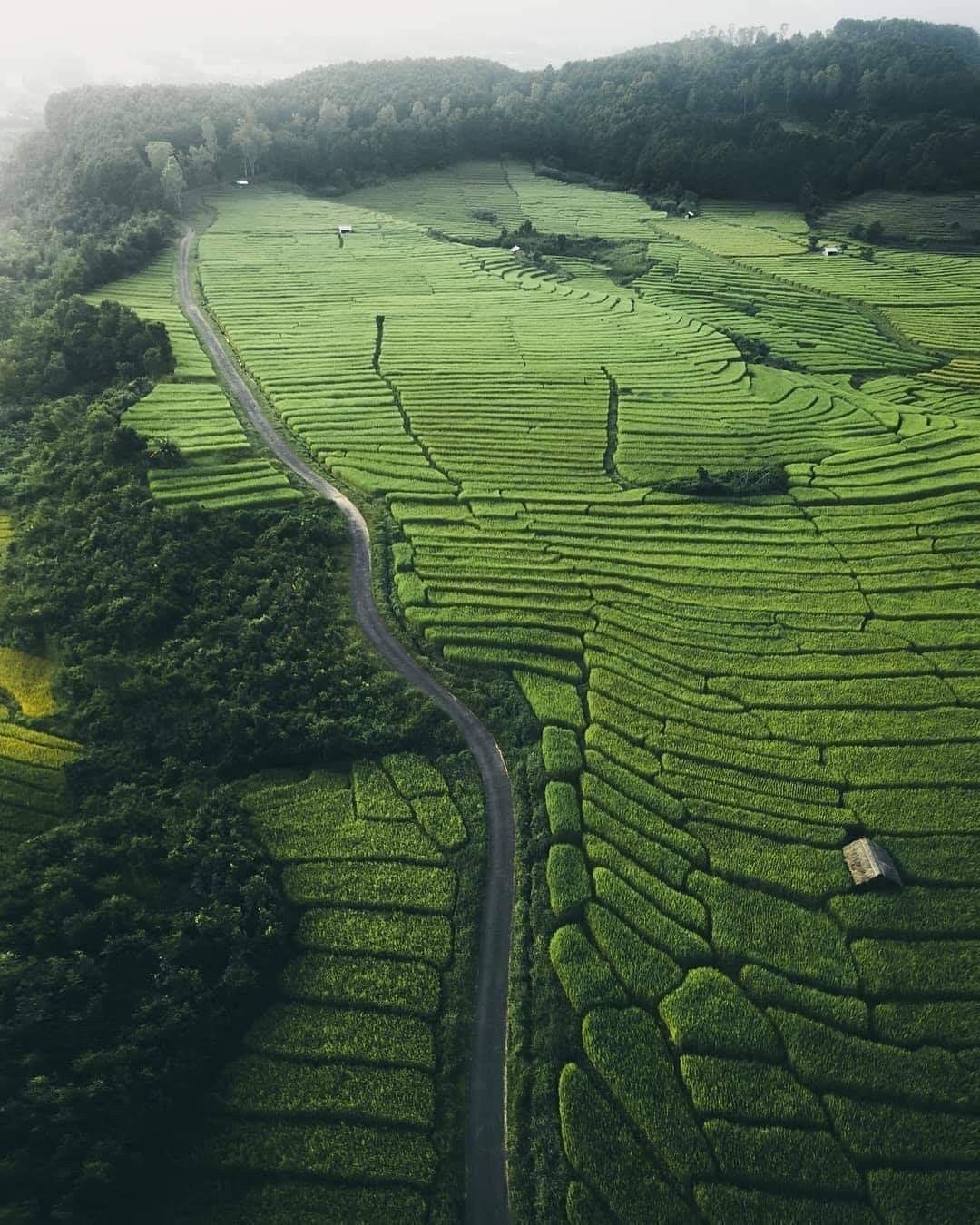 Manipur Wallpapers - Top Free Manipur Backgrounds - WallpaperAccess