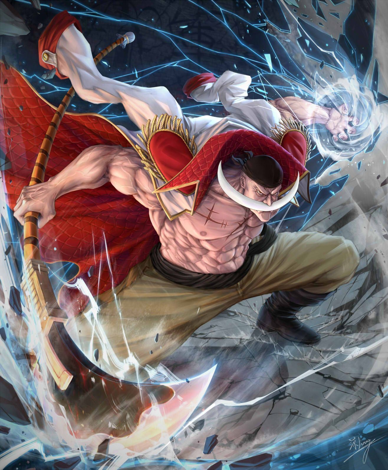 Whitebeard Logo Wallpapers - Top Free Whitebeard Logo Backgrounds ...