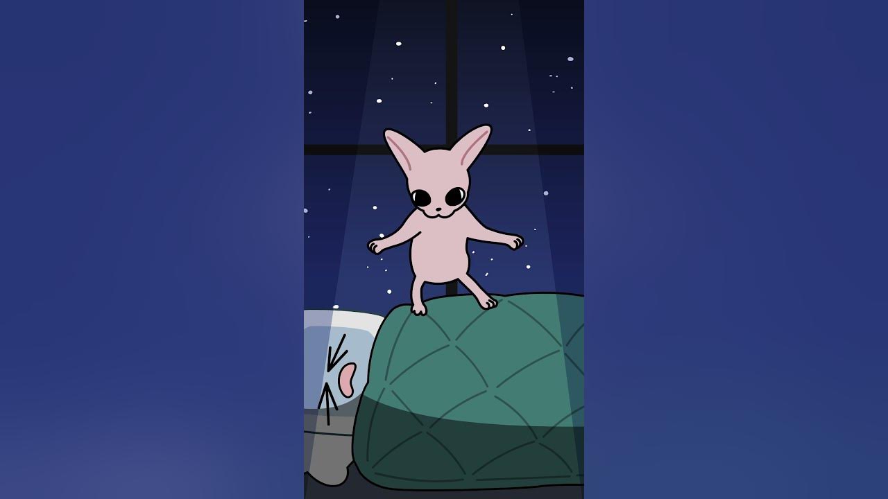 Bingus Wallpapers - Top Free Bingus Backgrounds - WallpaperAccess