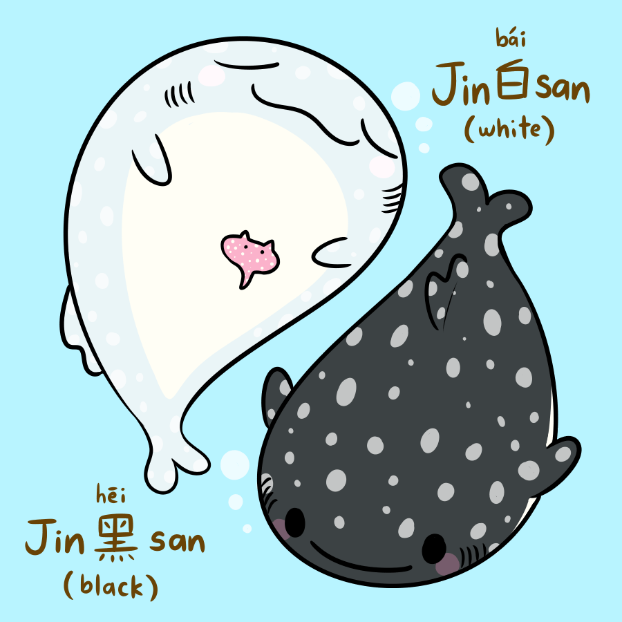 Jinbesan Wallpapers - Top Free Jinbesan Backgrounds - WallpaperAccess