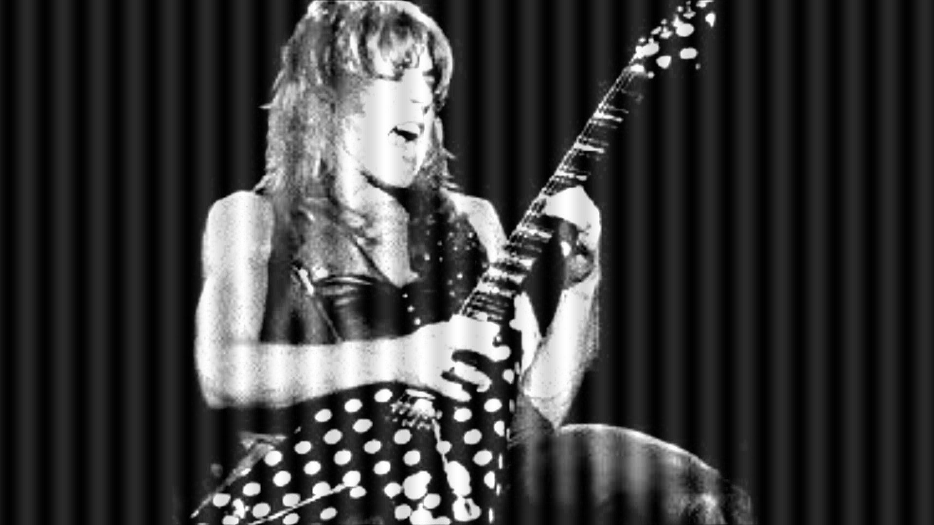 Randy Rhoads Wallpapers - Top Free Randy Rhoads Backgrounds ...