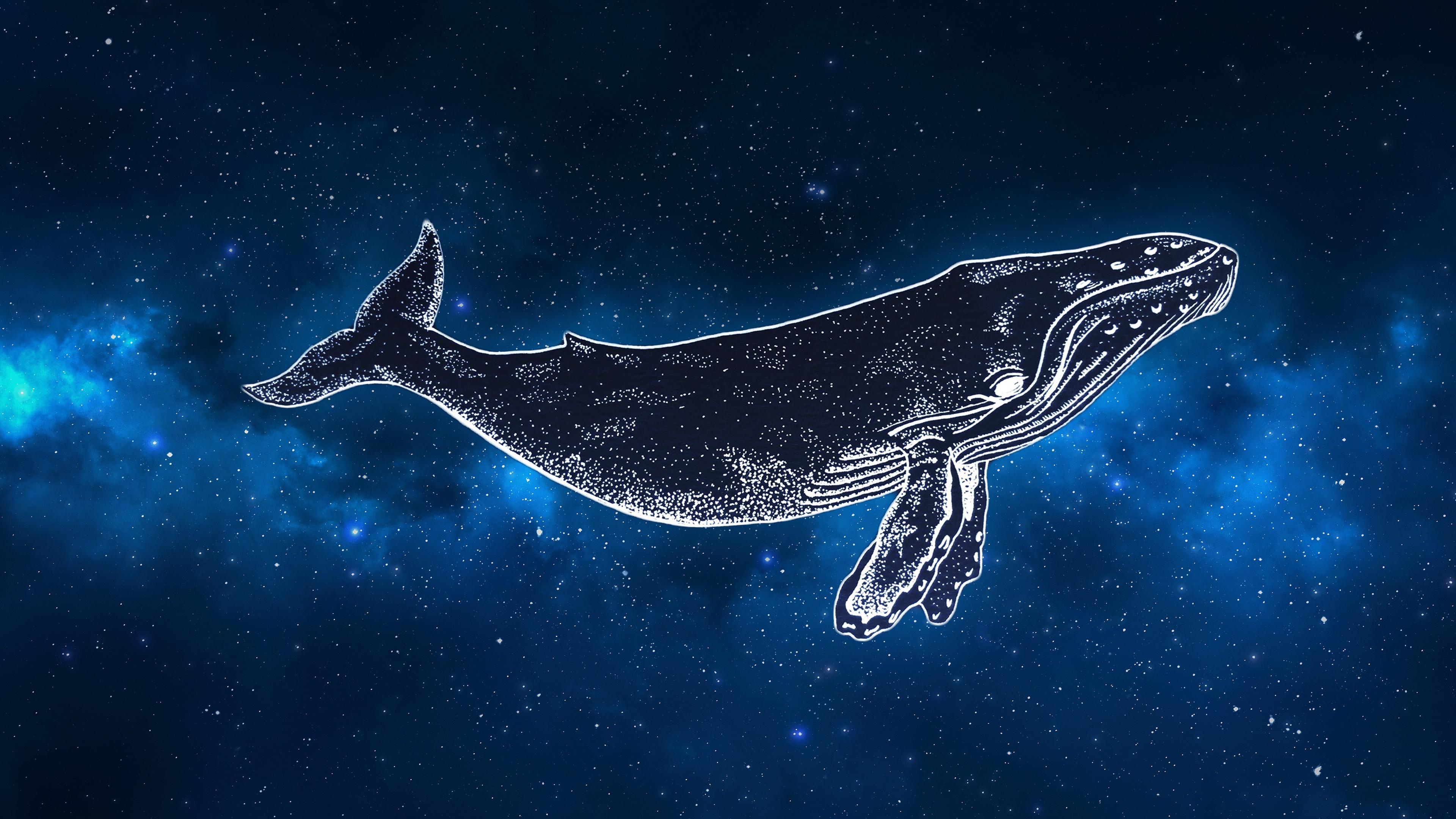 Space Whale Wallpapers - Top Free Space Whale Backgrounds - WallpaperAccess