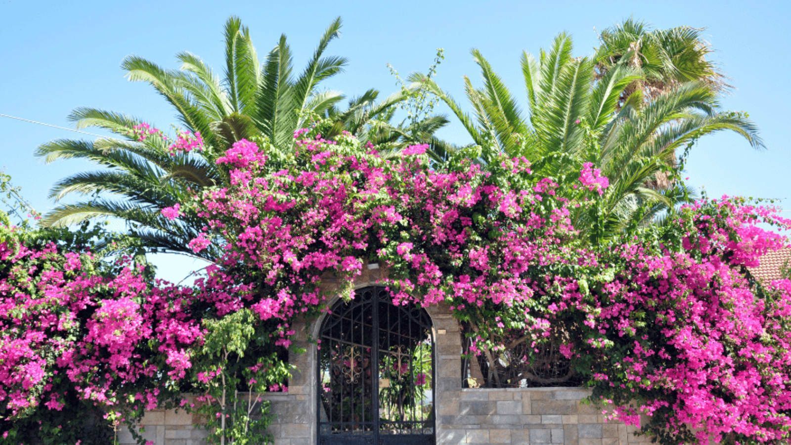 Spain Garden Wallpapers - Top Free Spain Garden Backgrounds ...