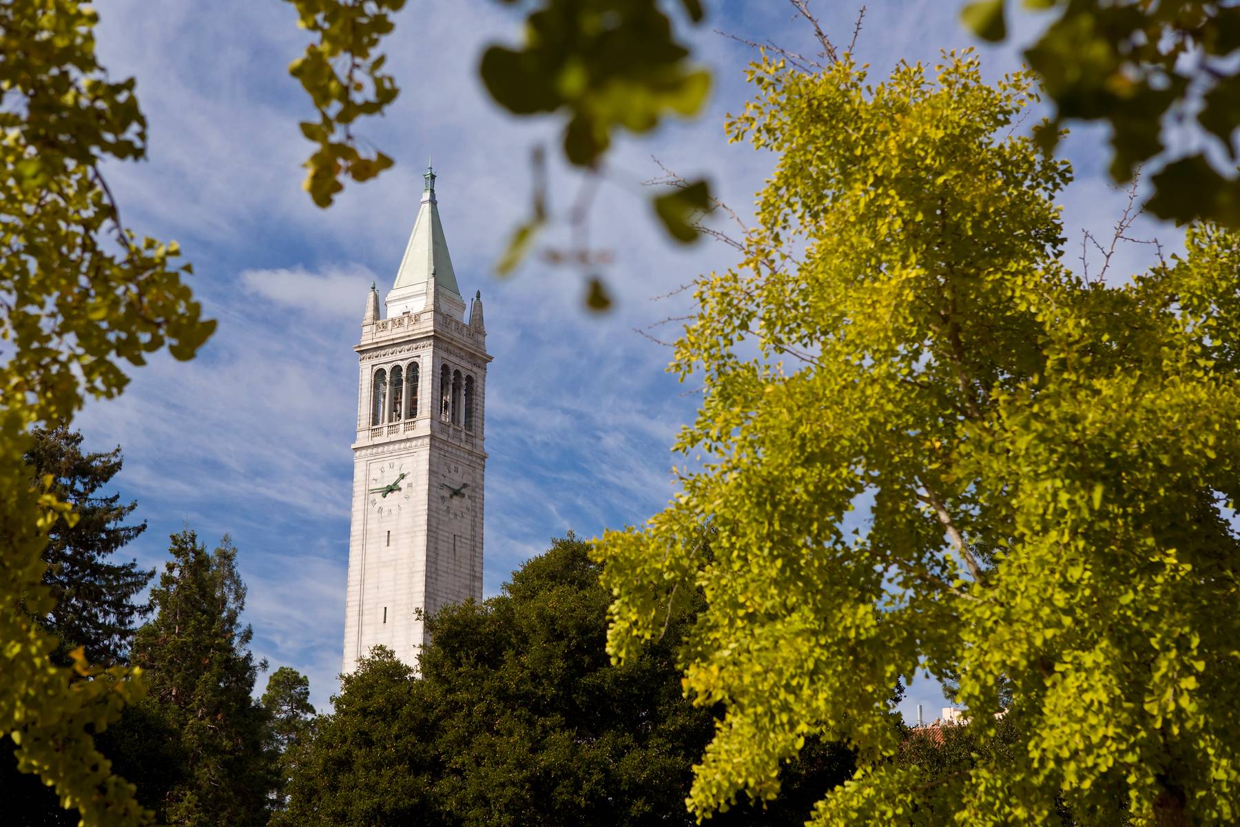 UC Berkeley Wallpapers - Top Free UC Berkeley Backgrounds - WallpaperAccess