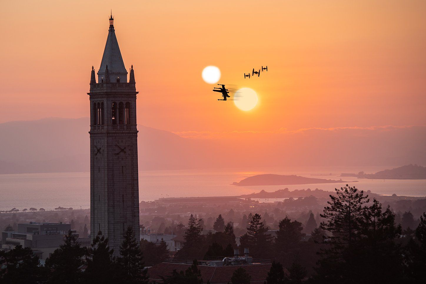 UC Berkeley Wallpapers - Top Free UC Berkeley Backgrounds - WallpaperAccess