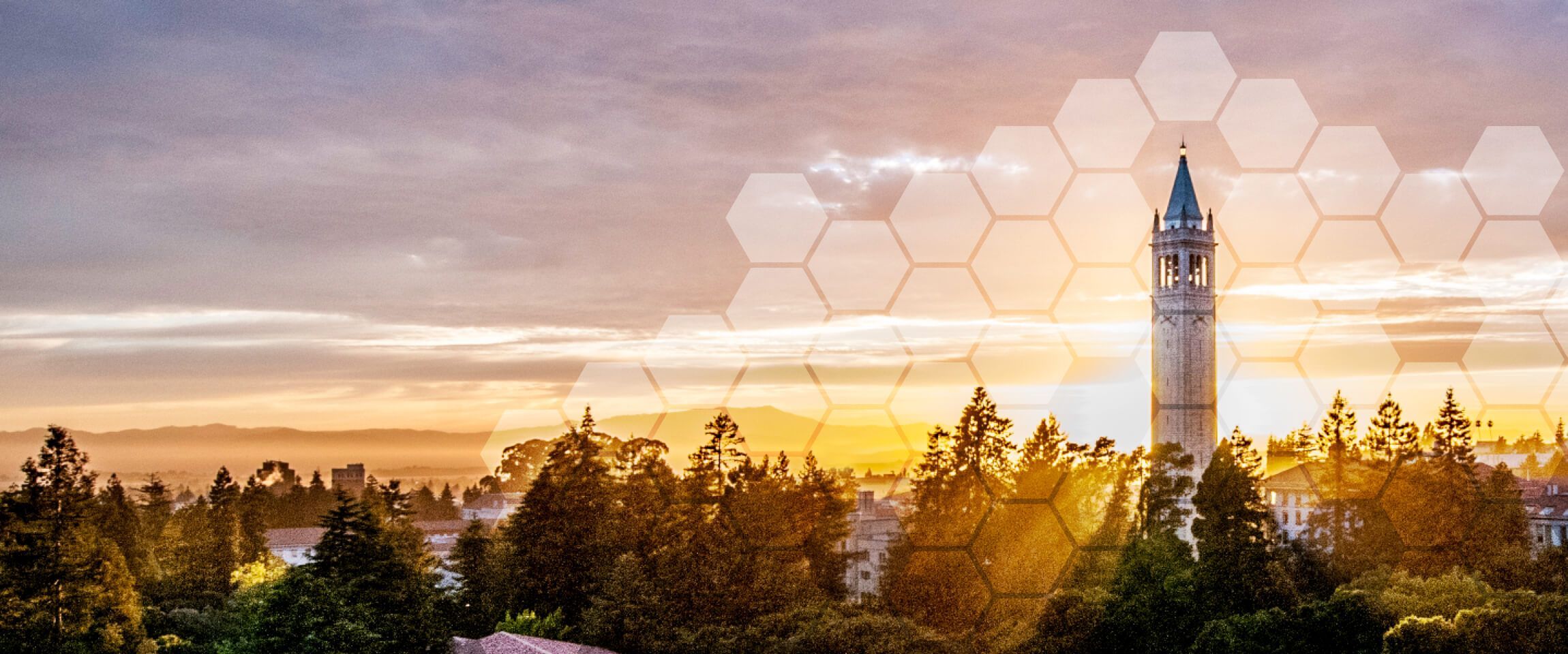 UC Berkeley Wallpapers - Top Free UC Berkeley Backgrounds - WallpaperAccess