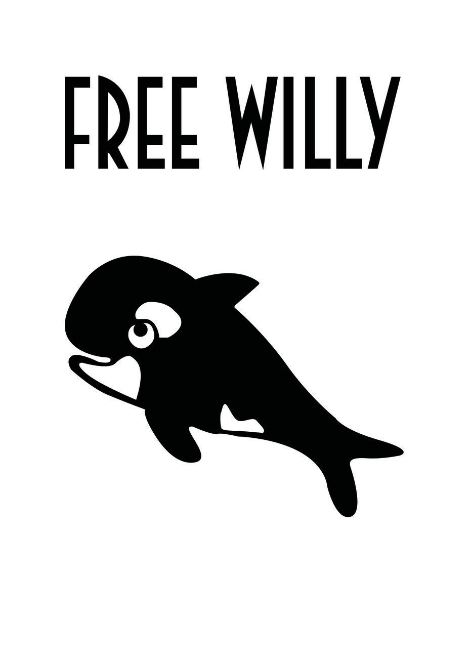 free Willy Wallpapers - Top Free free Willy Backgrounds - WallpaperAccess